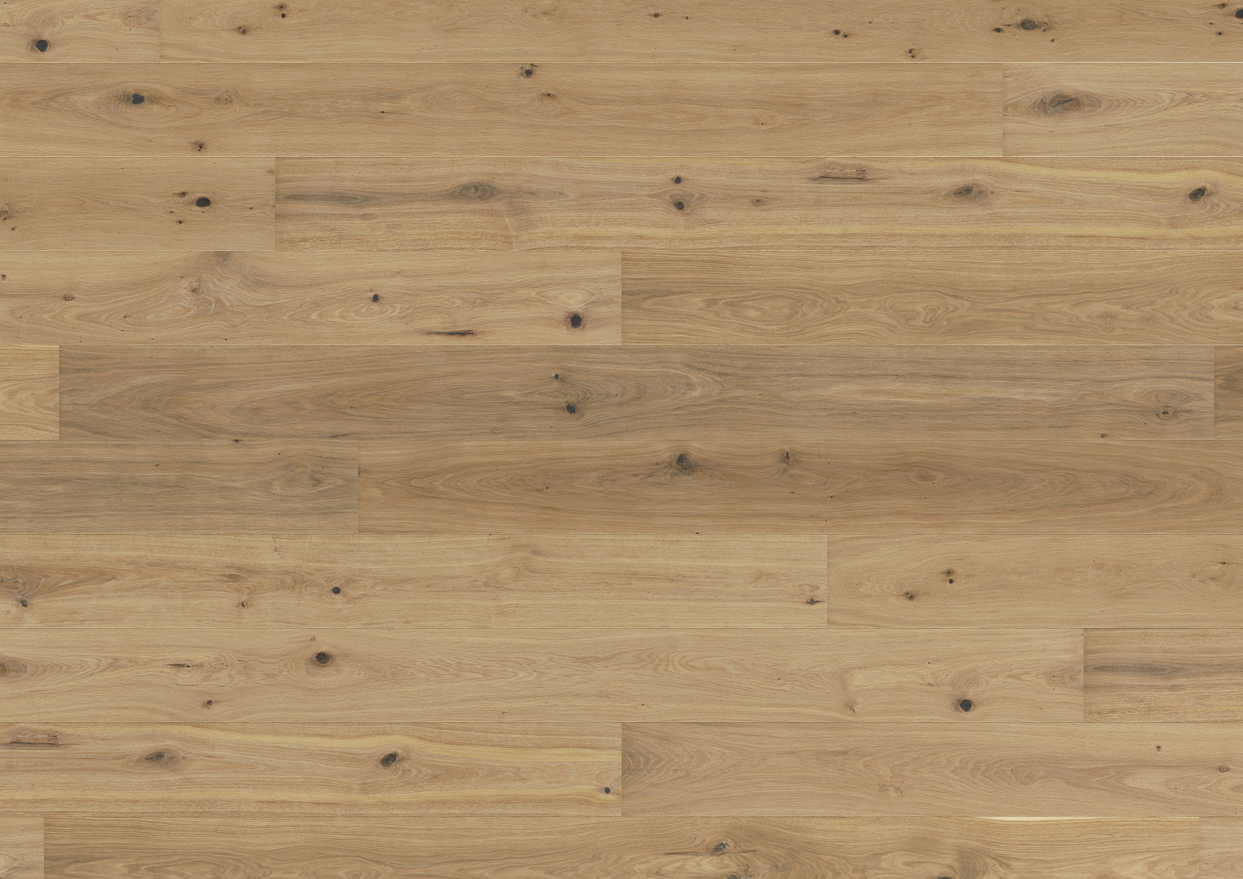 Oak XXL knotty raw timber effect - Berg & Berg